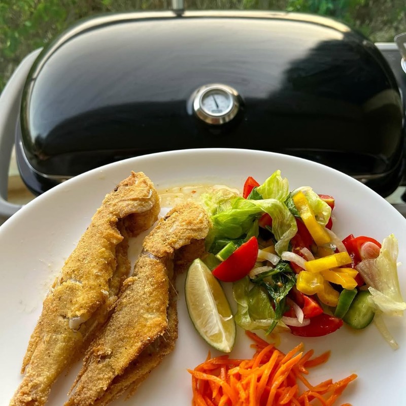 Master Cook Grills Website: Effortless Outdoor Cooking