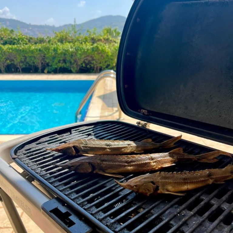 Master Cook Grills Website: Effortless Outdoor Cooking